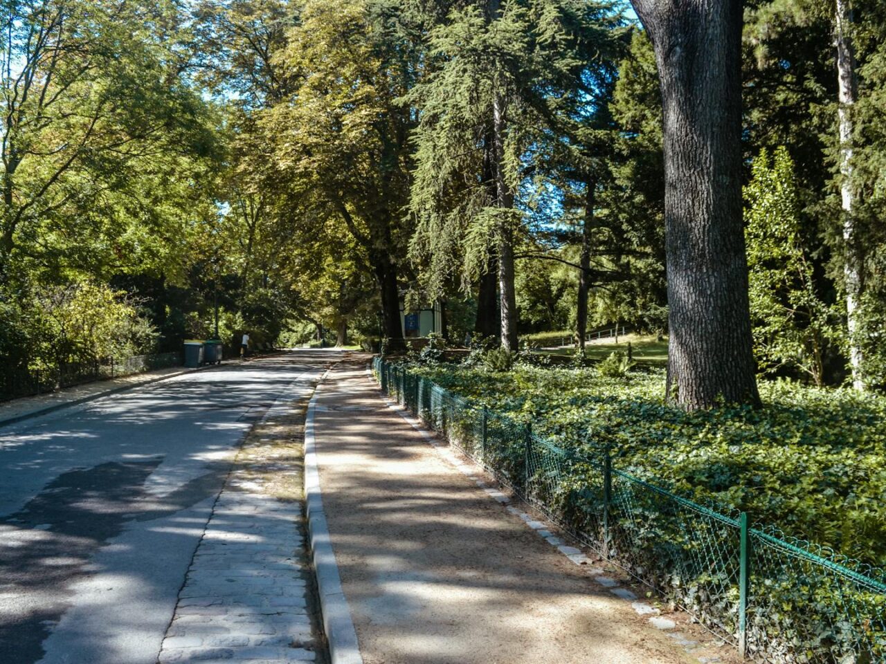 11 najlepszych rzeczy do zrobienia w Karlsruhe - 2025 - TryTravel